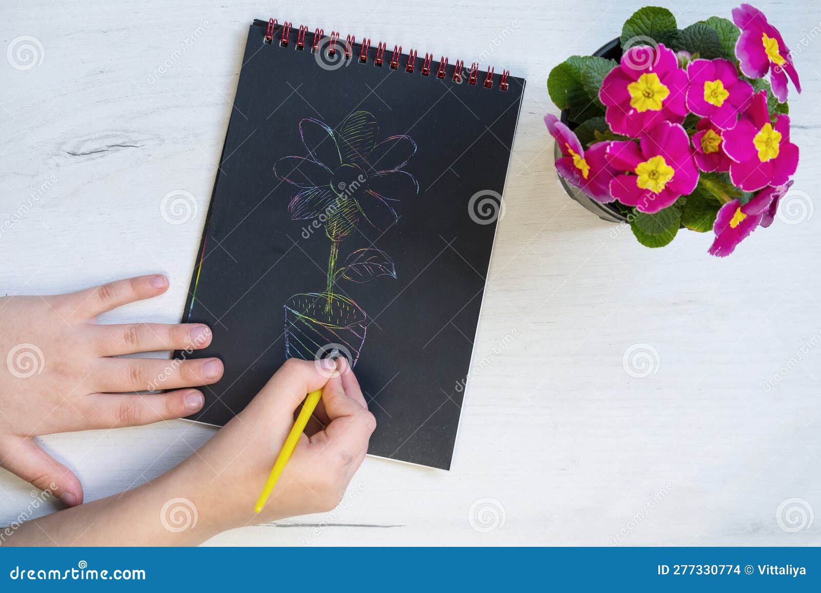 Scratch Painting Paper with Flower on it and Flower Pot Stock Photo ...