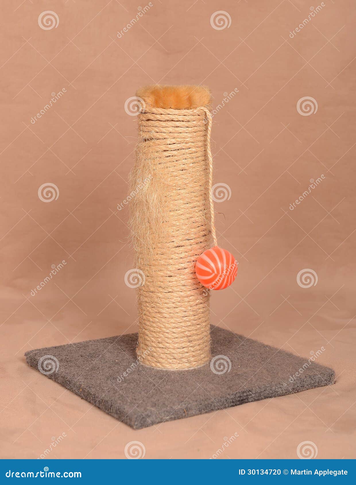 Cat scratch play post stock photo. Image of beige, background - 30134720