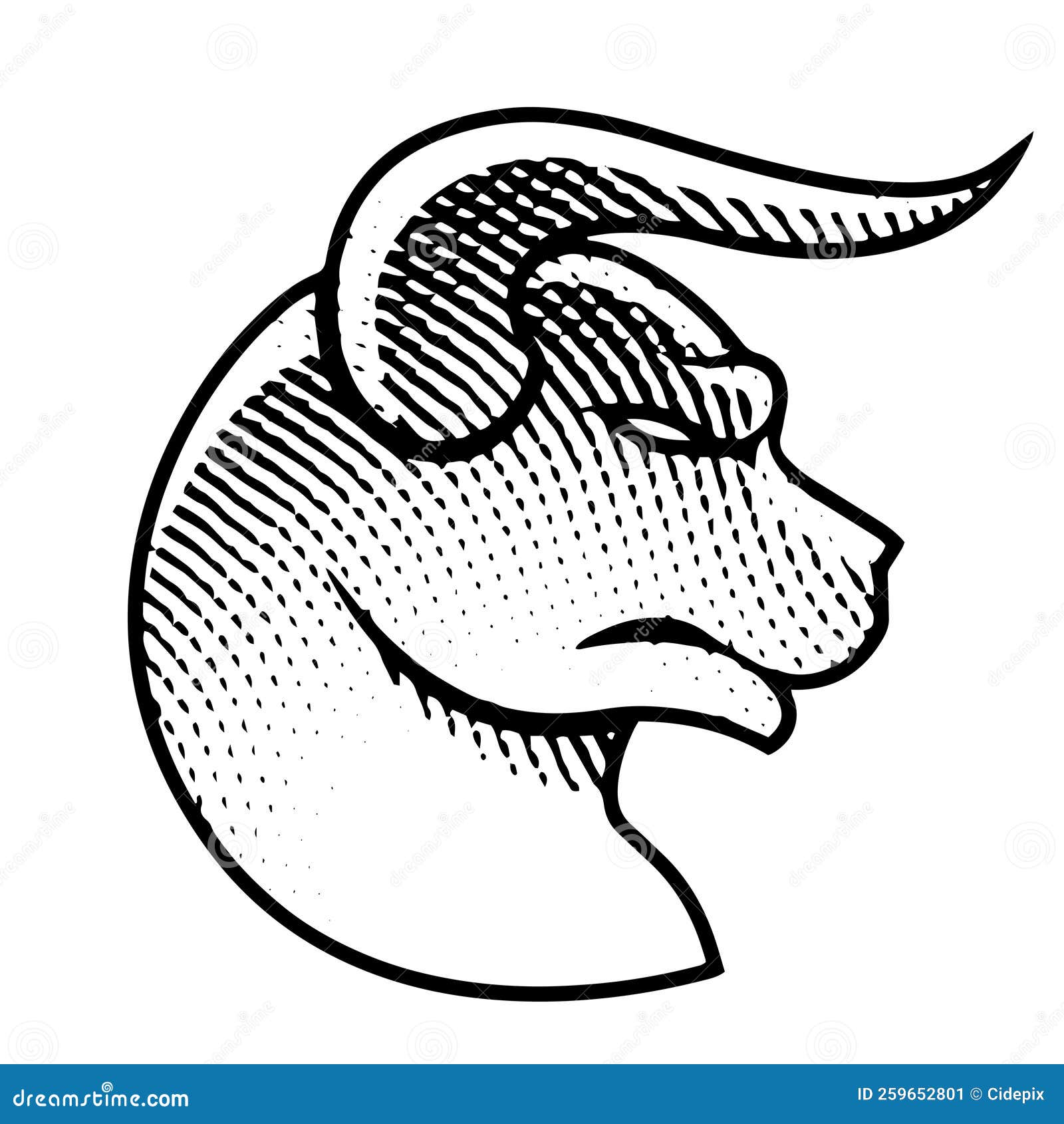 Scratchboard Engraved Bull Profile View Stock Vector - Illustration of ...