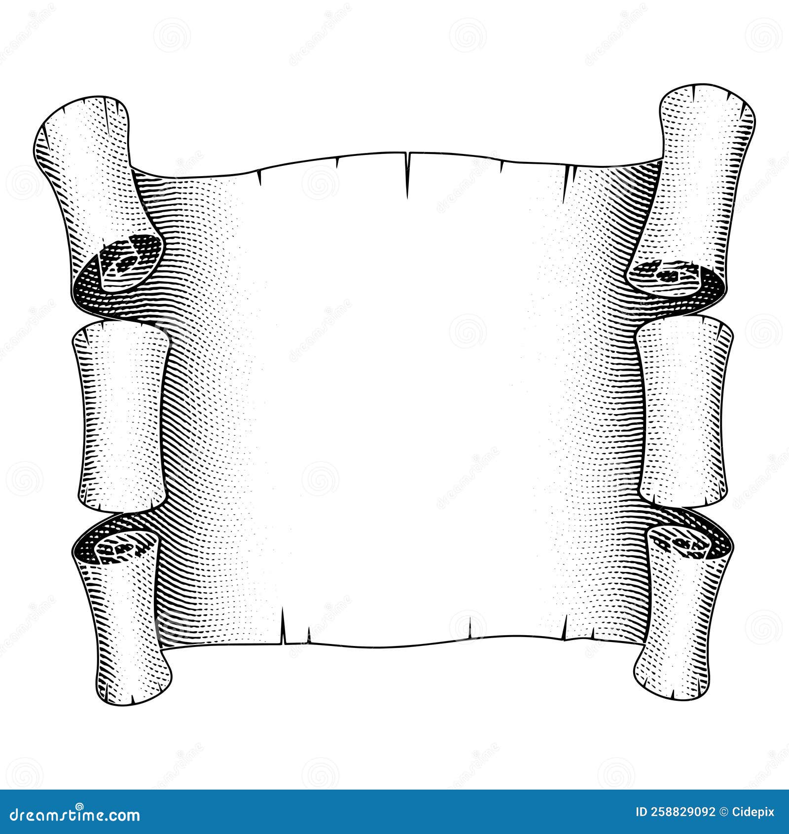 Scratchboard Engraved Curled Big Banner Stock Vector - Illustration of ...