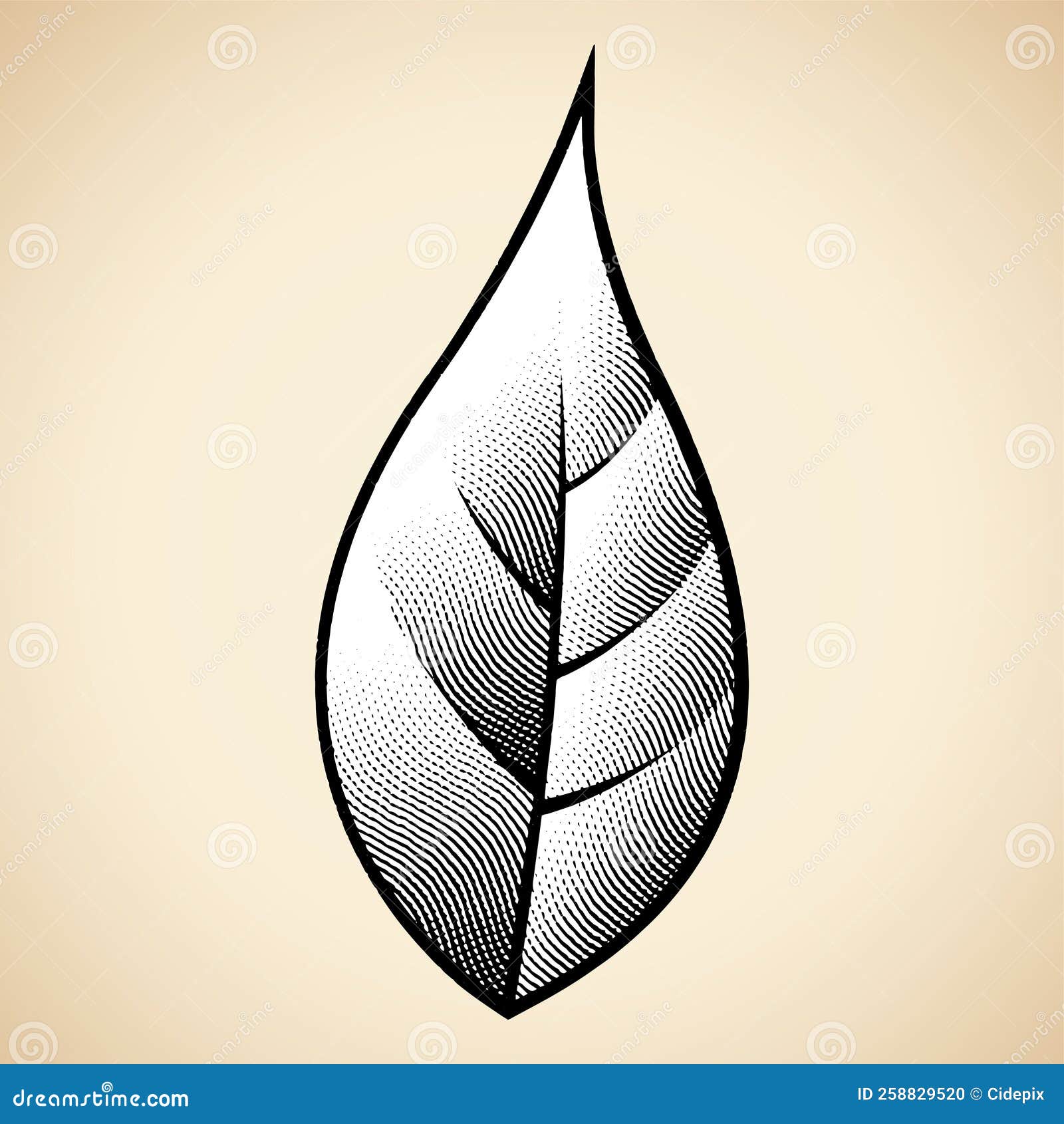 Scratchboard Engraved Leaf on a Beige Background Stock Vector ...