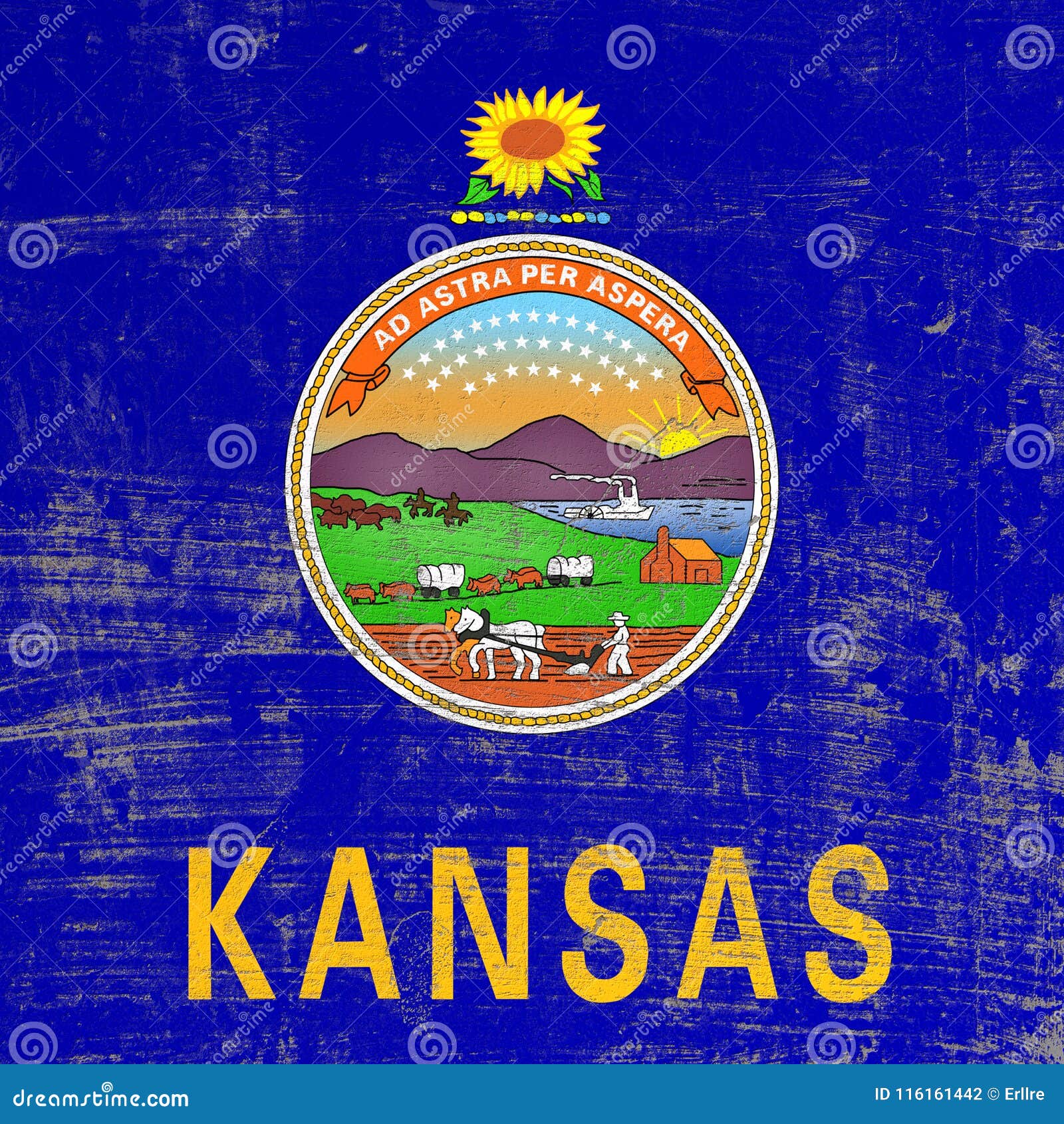 Kansas Flag Vector Illustration On White Background. USA State Flag ...