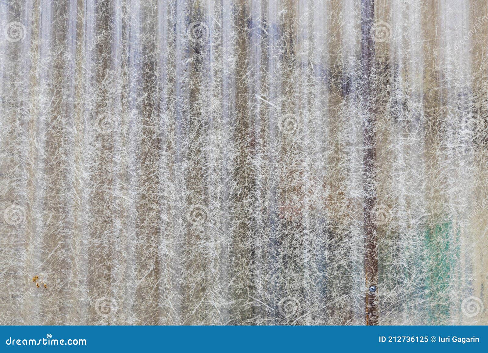 Scratched Plastic Texture With White Stock Photo | CartoonDealer.com ...