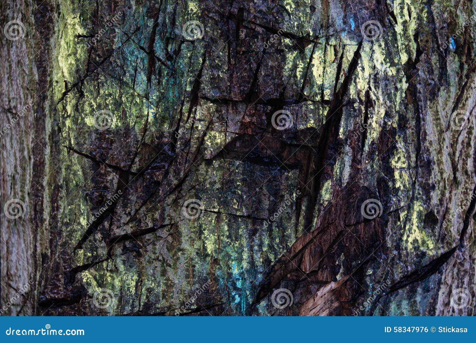 Scratched Tree Bark Neon stock photo. Image of dirty - 58347976