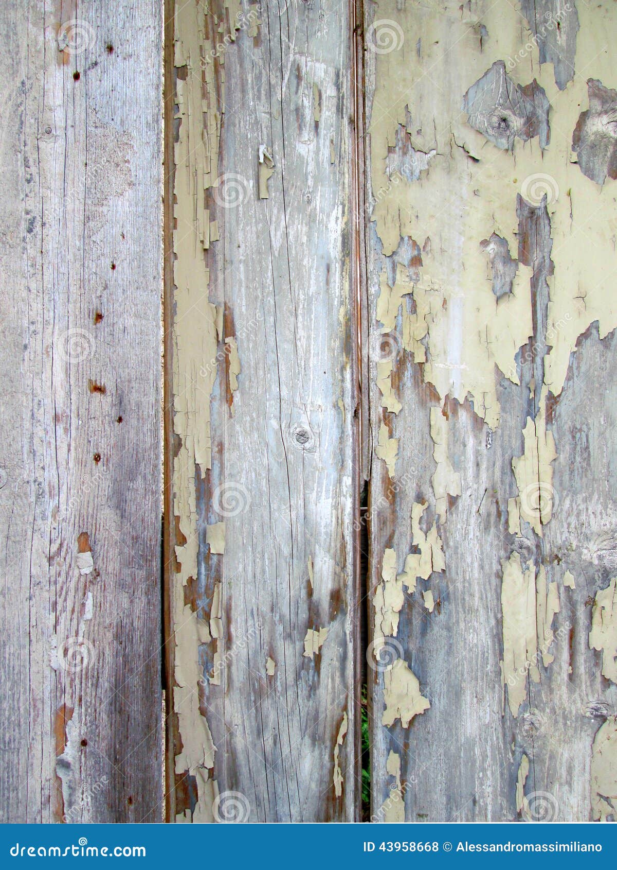 Scratched wood texture stock photo. Image of board, cracked - 43958668