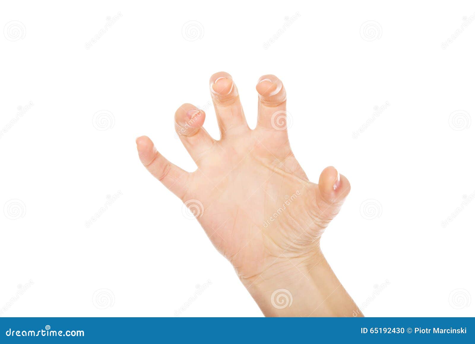 Scratching Woman Hand with Five Fingers Stock Photo - Image of scratch ...