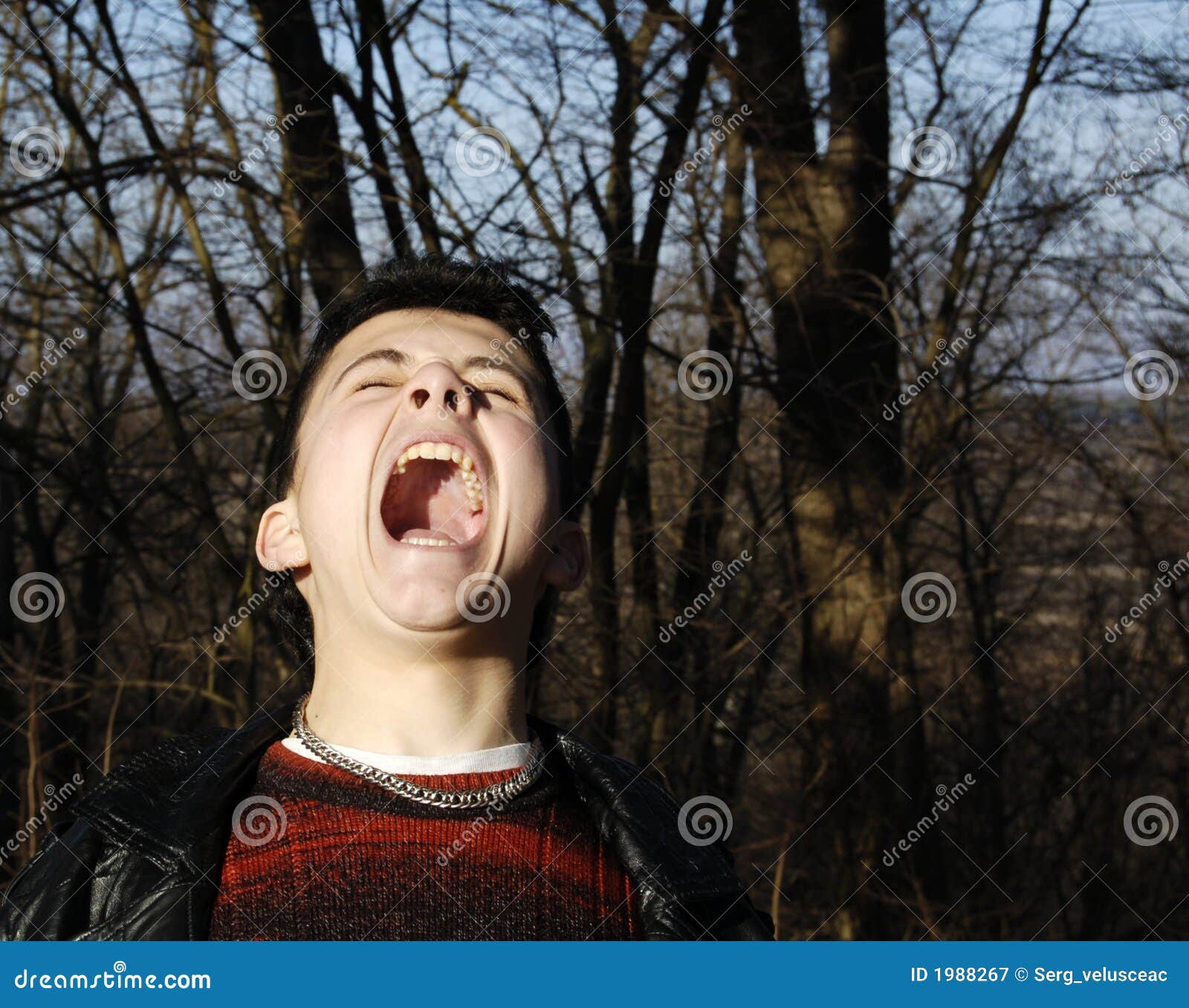 The scream stock image. Image of hair, behavior, behaviour - 1988267