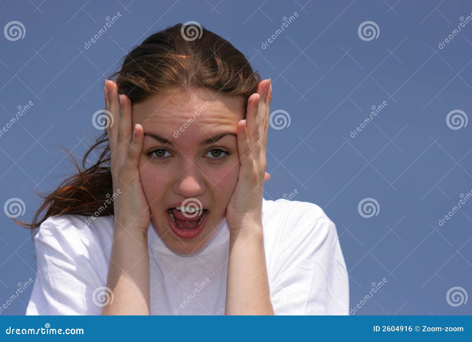 Scream stock photo. Image of lifestile, happyness, ecstasy - 2604916