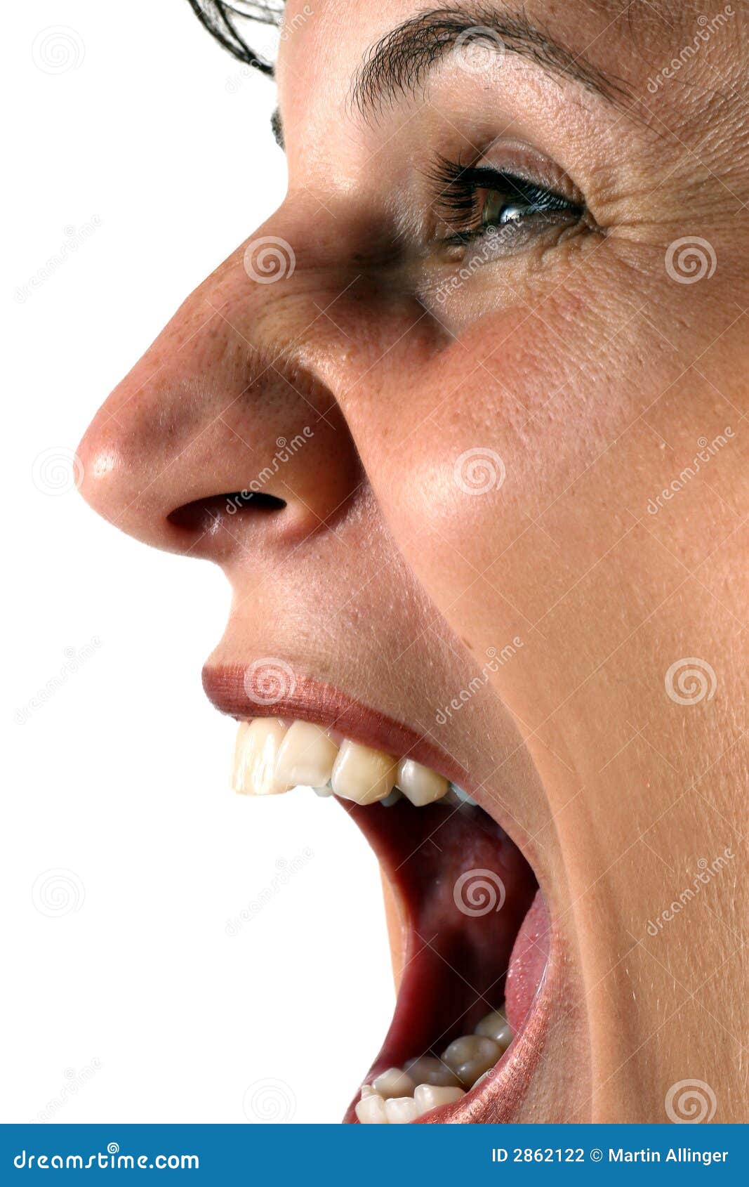Scream stock photo. Image of frustrated, help, glasses - 2862122