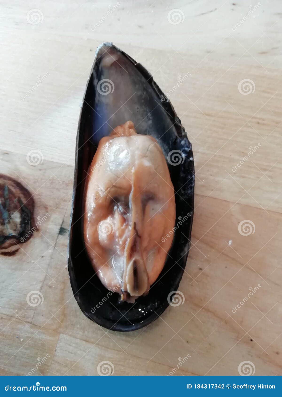 The Scream or Mussel in a Shell Stock Photo - Image of scream, mussel ...