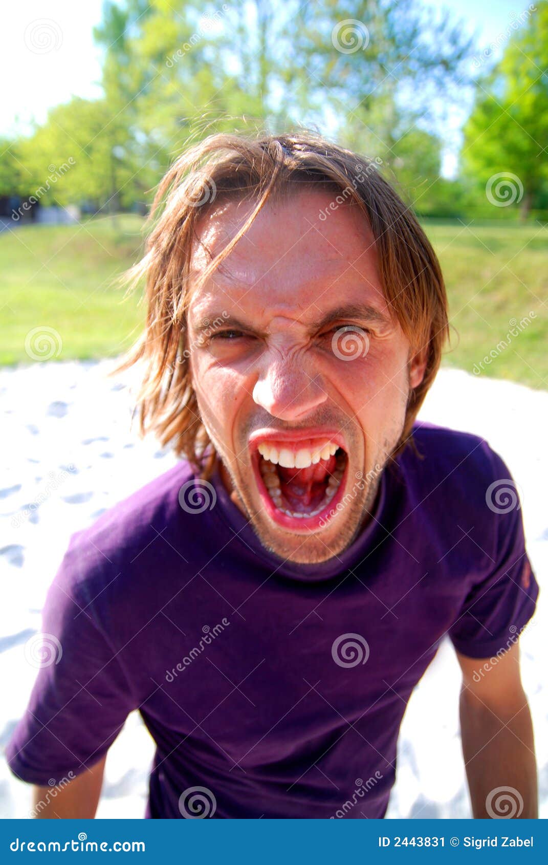 Screaming stock image. Image of crying, animal, expression - 2443831