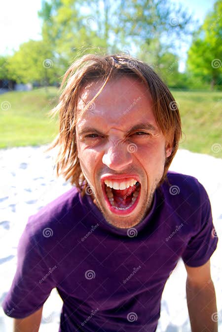 Screaming stock image. Image of crying, animal, expression - 2443831