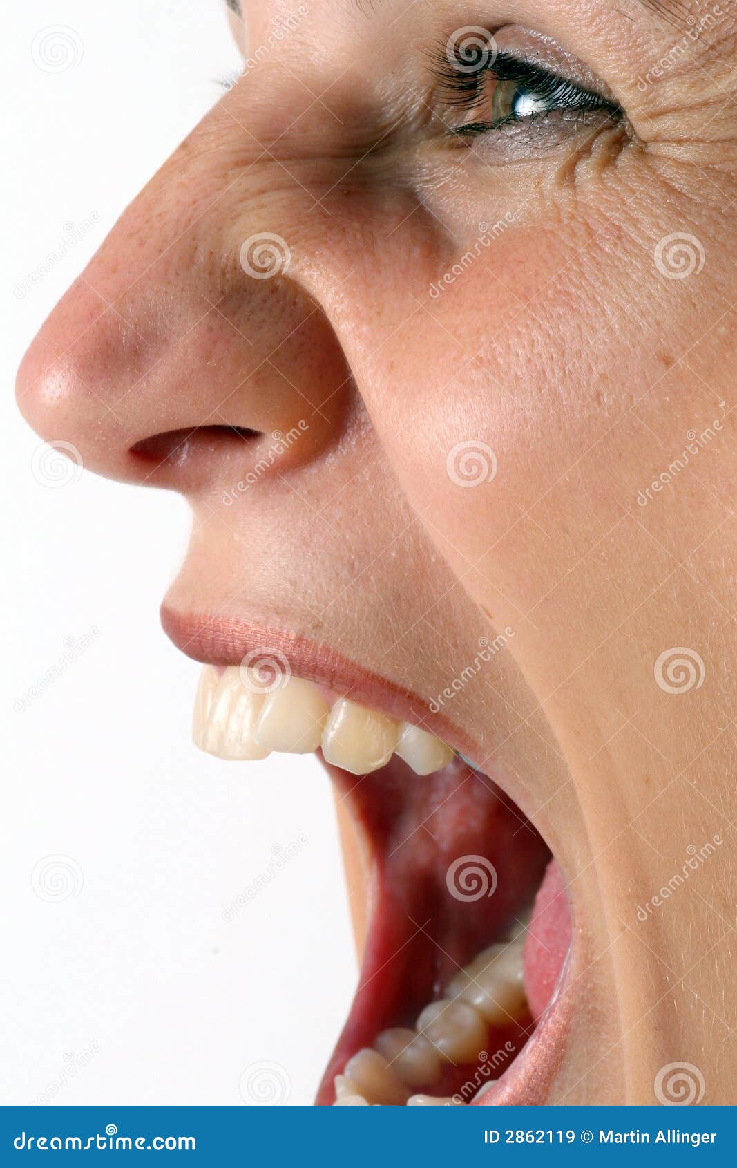Screaming Angrily stock image. Image of corporate, background - 2862119