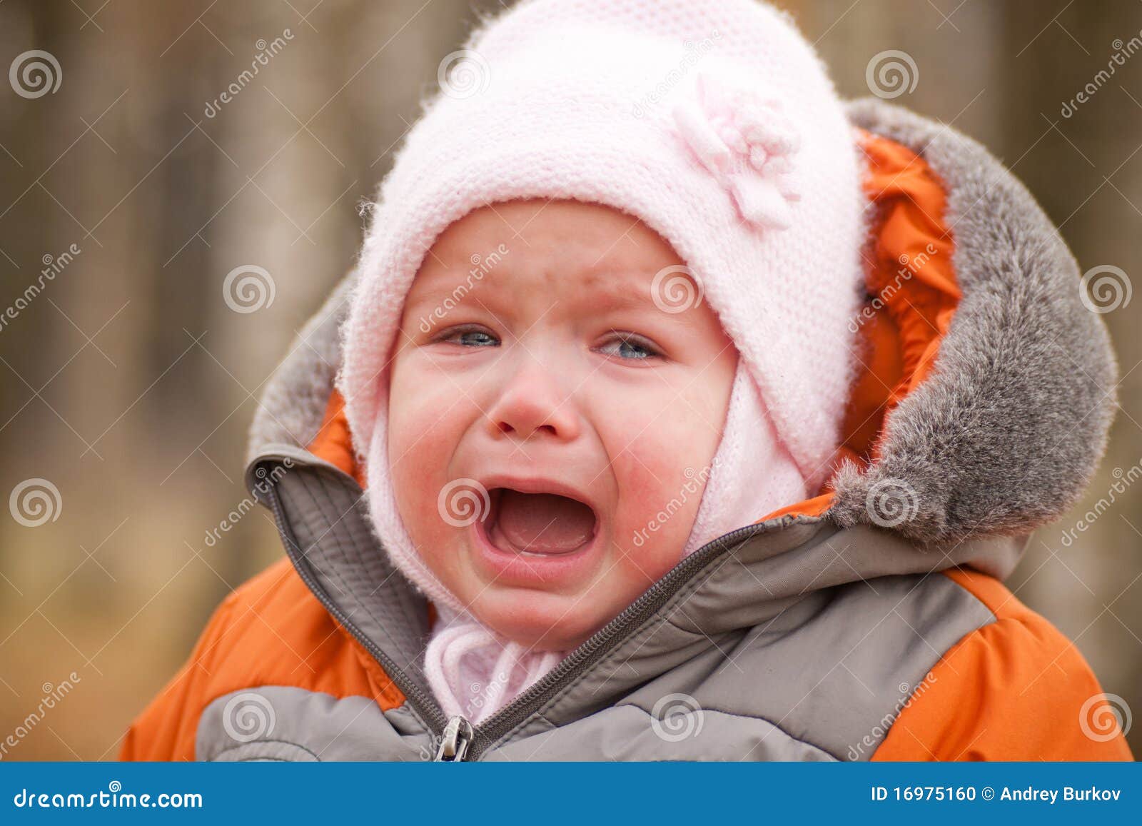 Screaming Baby Stay in Forest Stock Photo - Image of green, beauty ...
