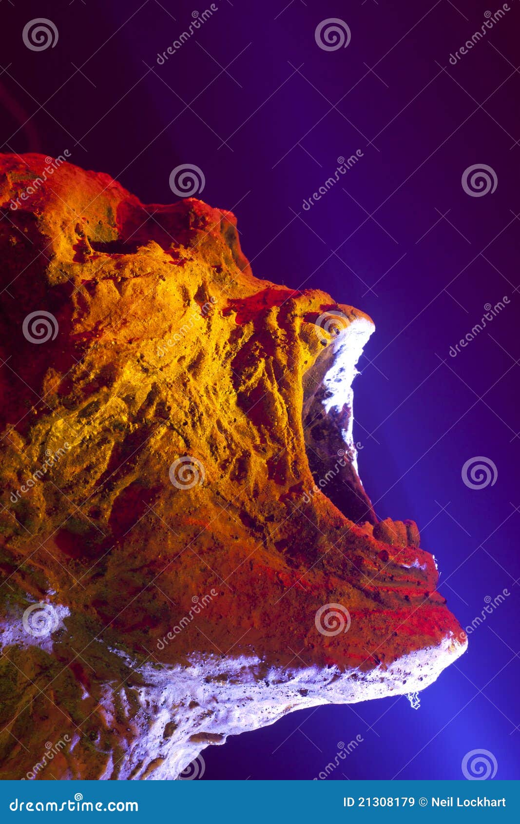 Screaming Corpse stock image. Image of gruesome, halloween - 21308179