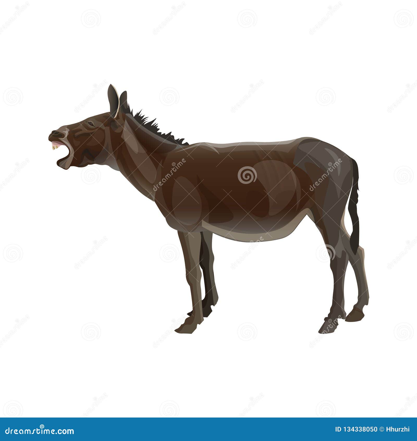 Hinny Cartoons, Illustrations & Vector Stock Images - 22 Pictures to ...