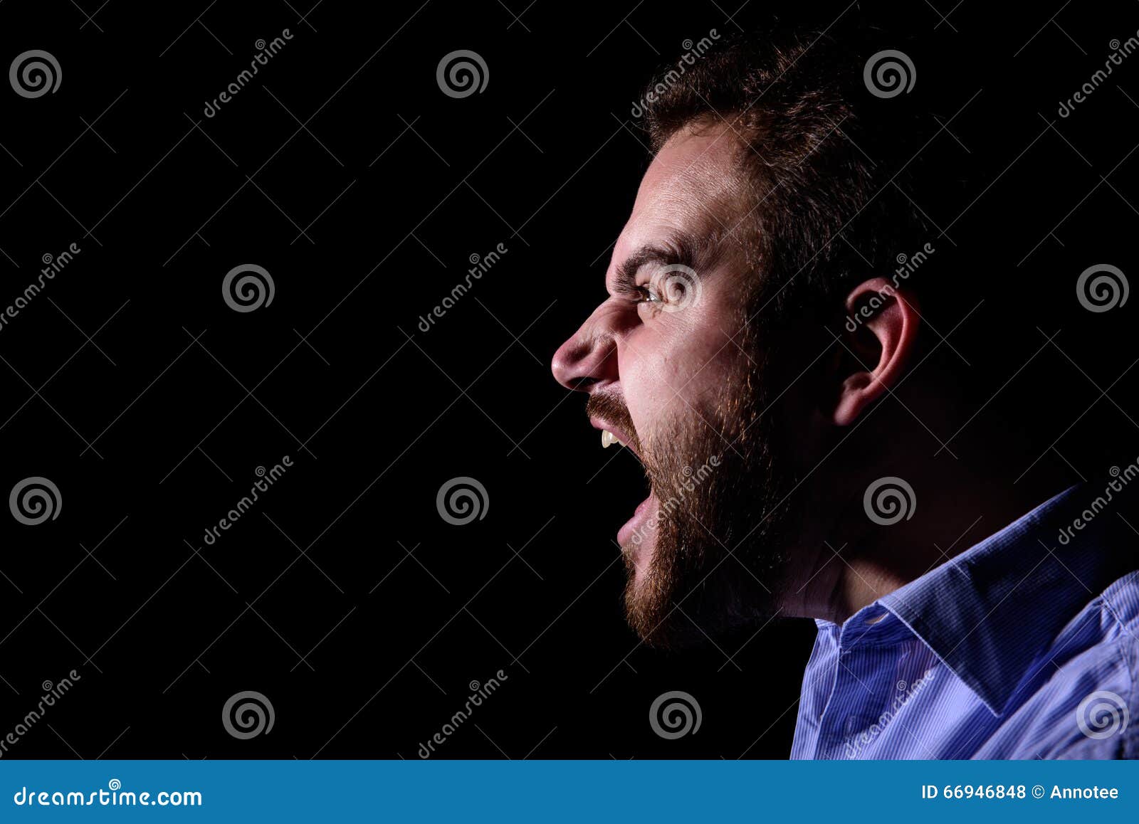 Screaming face in the dark stock photo. Image of head - 66946848