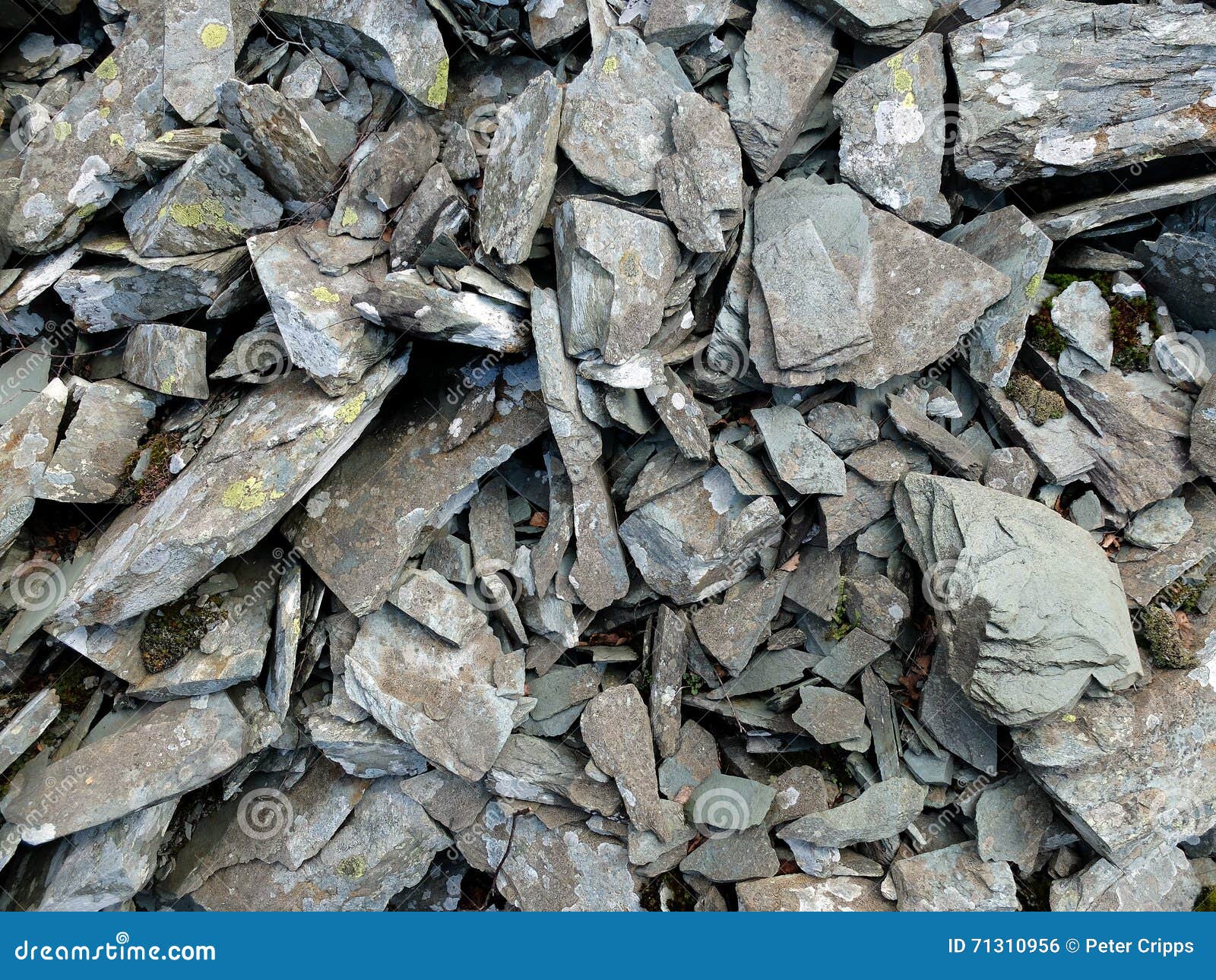 Scree stock photo. Image of texture, grey, slate, scree - 71310956