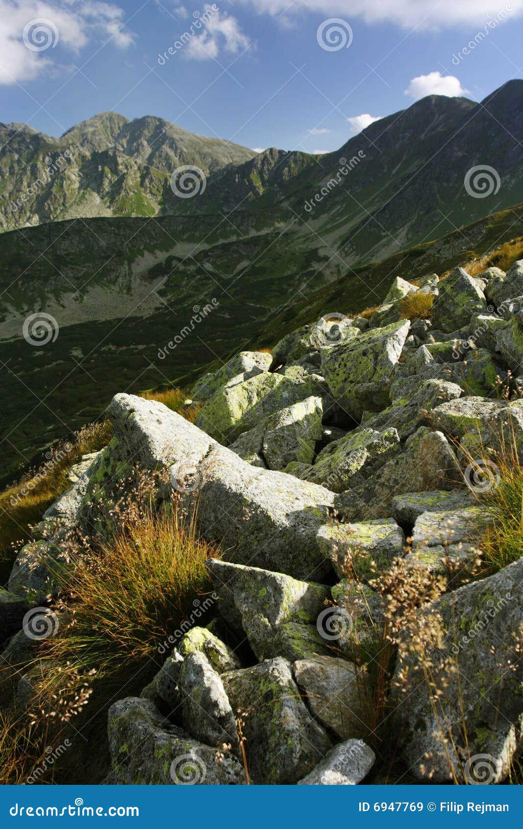 The Scree with the Mountains Stock Image - Image of moss, boulders: 6947769