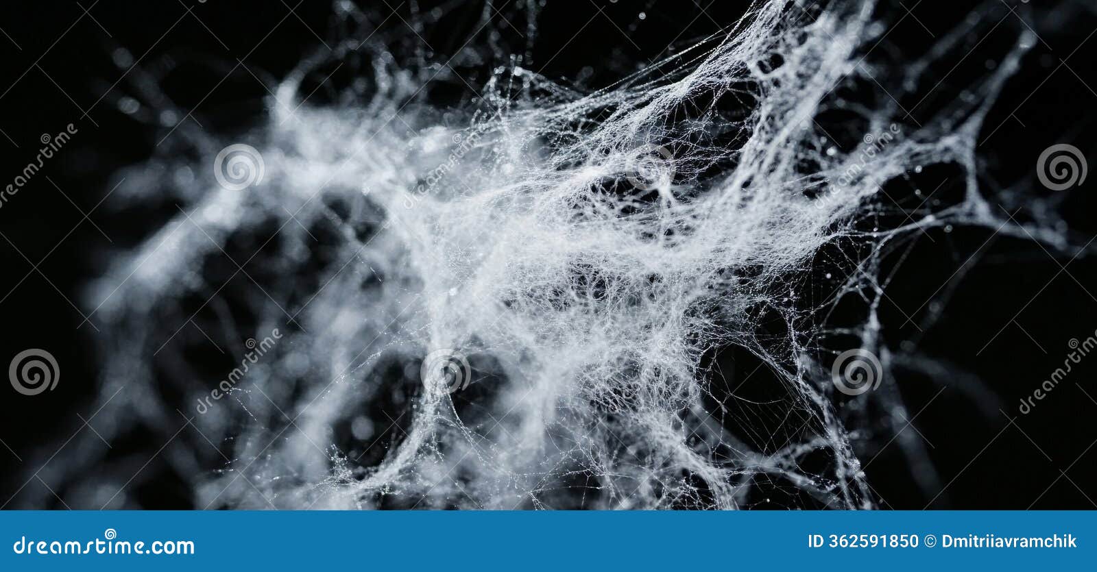 The Screen Displays a Black Background with White, Thin, and Long ...