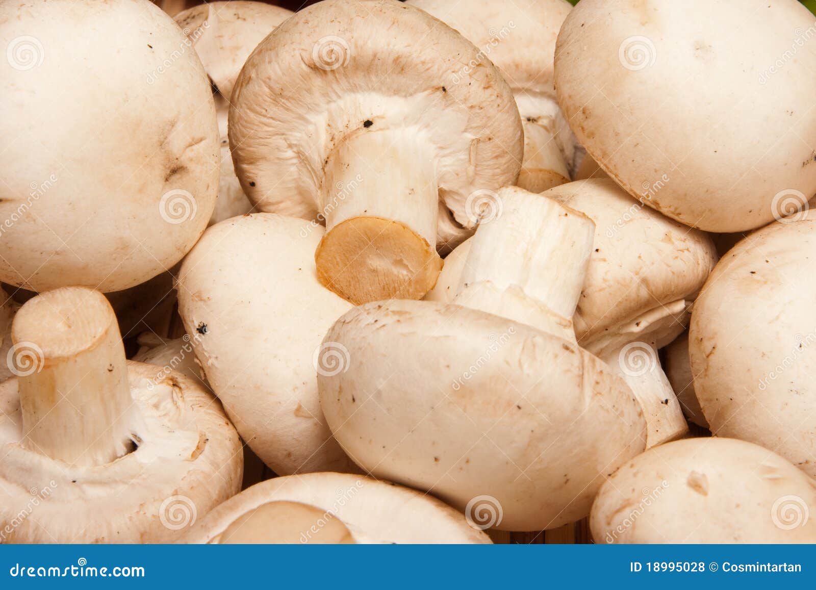 Fresh Mushrooms from Supermarket Stock Photo - Image of mall, fresh ...