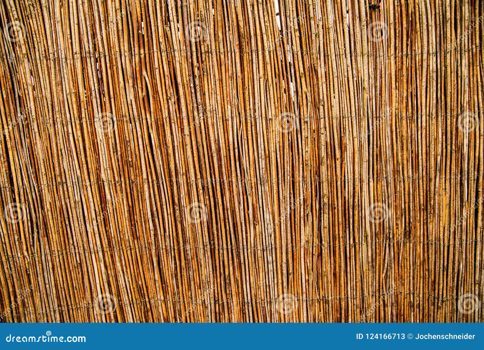 Reed Screen Garden Stock Photos - Free & Royalty-Free Stock Photos from ...