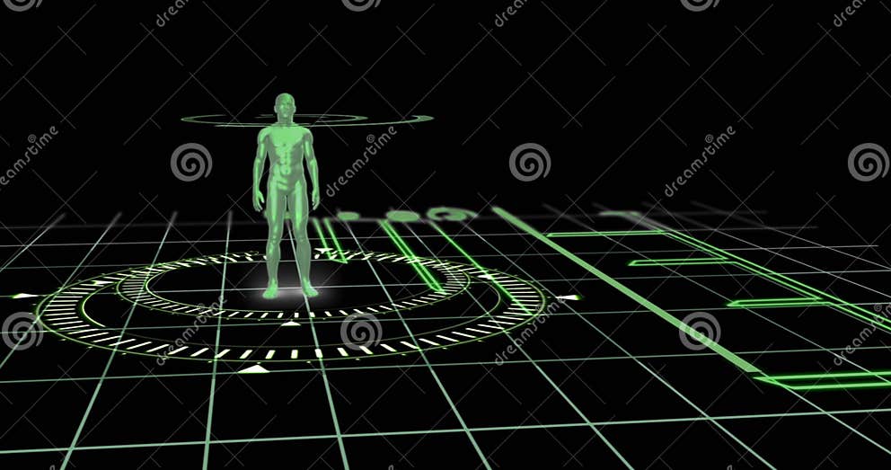 Screens with Data Processing and Human Body Model Over a Round Scanner ...