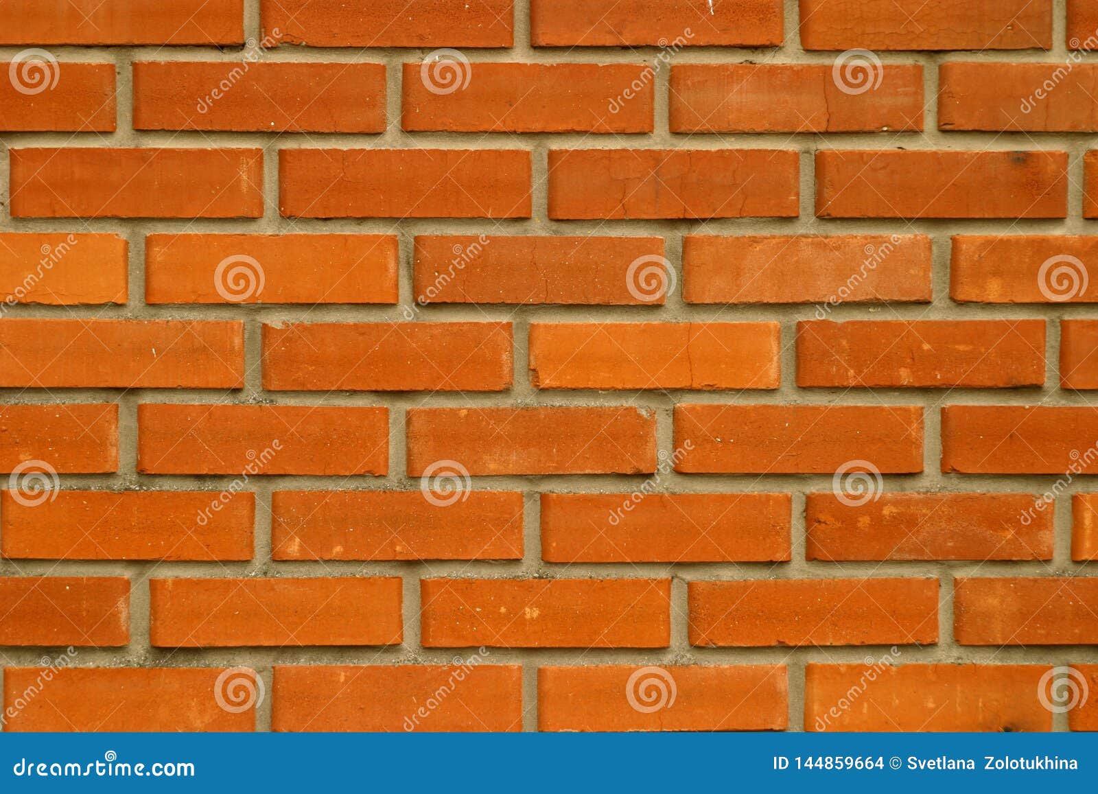 Screensaver for the Background Under the Color of a Decorative Wall ...