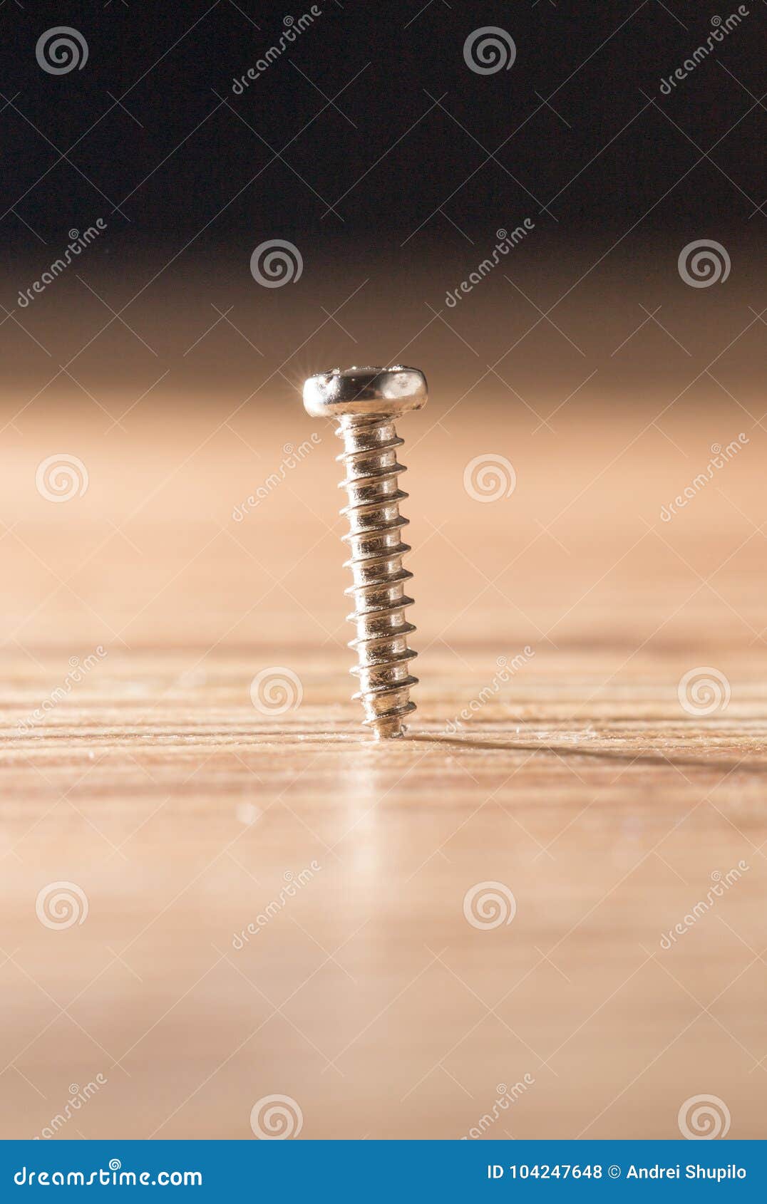 Screw. close-up stock photo. Image of background, iron - 104247648