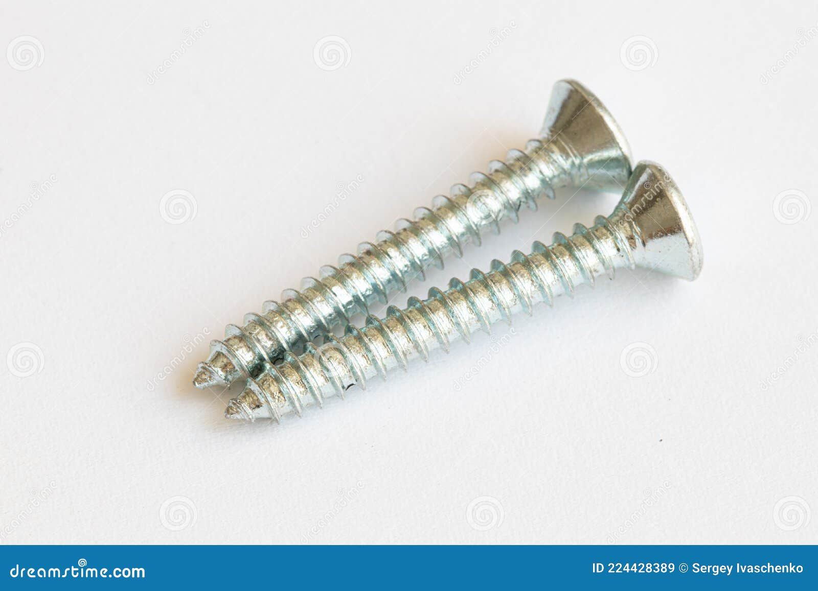 Self-tapping Screws for Metal and Wood. Stock Image - Image of ...