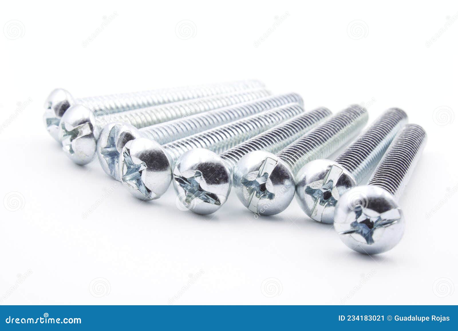 Galvanized Drop Head Screws for Phillips Screwdriver on a White ...