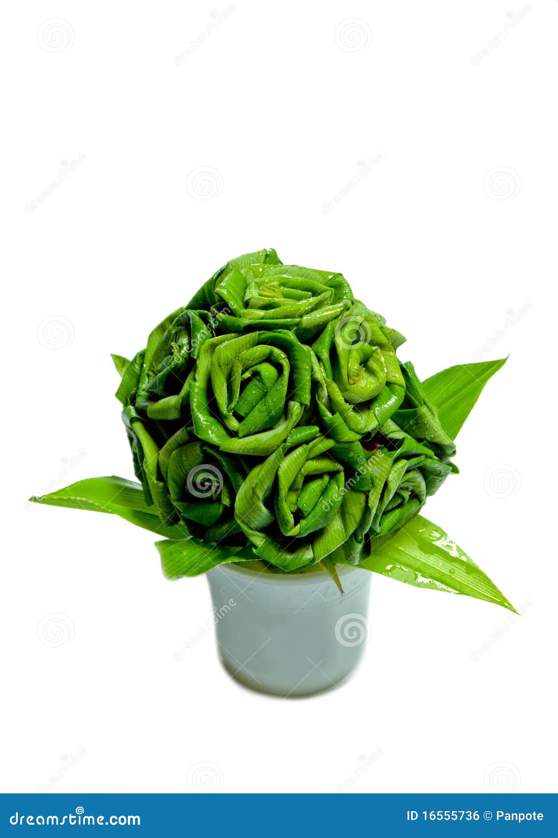 Screw-pine leaves stock photo. Image of fine, leaf, craft - 16555736