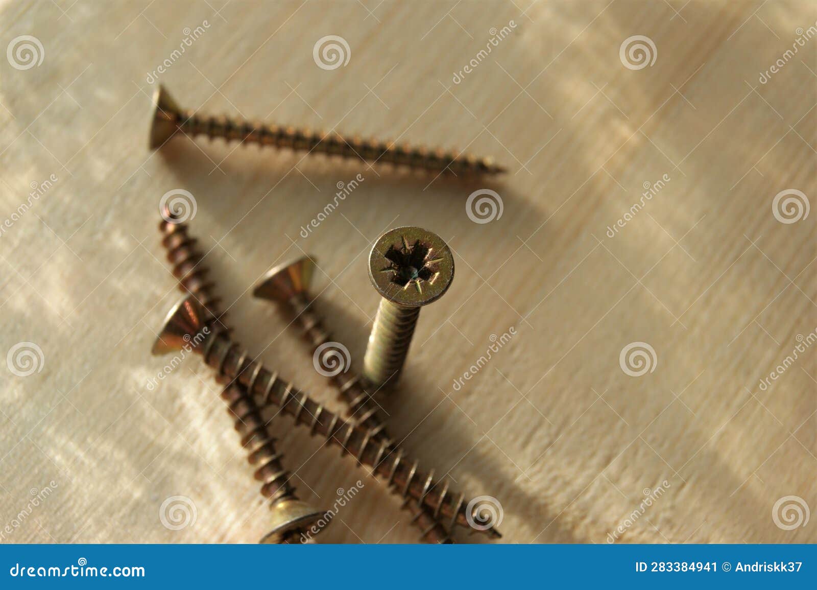 A Screwed into the Board. Screws on a Fresh Wooden Board. Stock Image ...