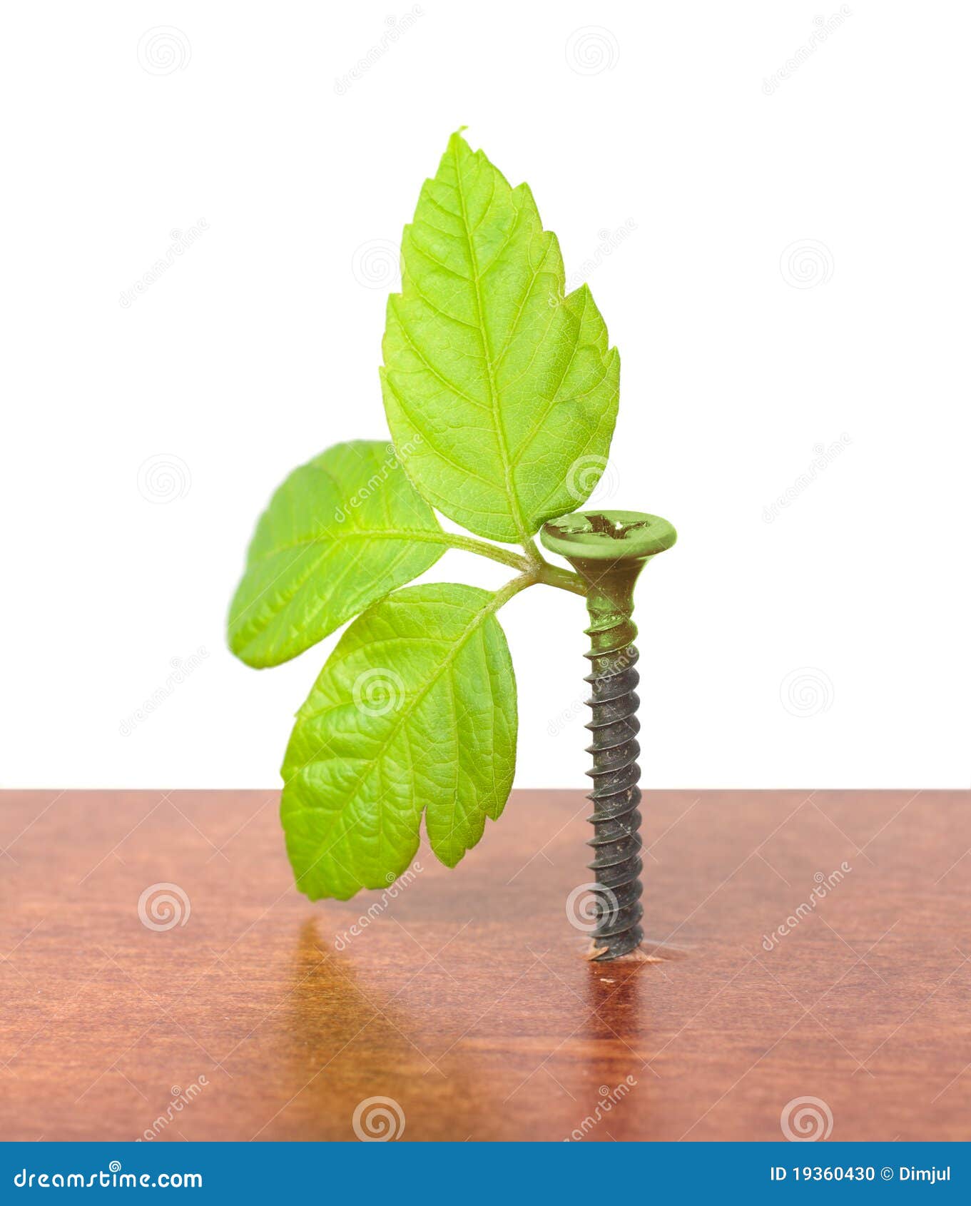 With young sprouts stock photo. Image of small, service - 19360430