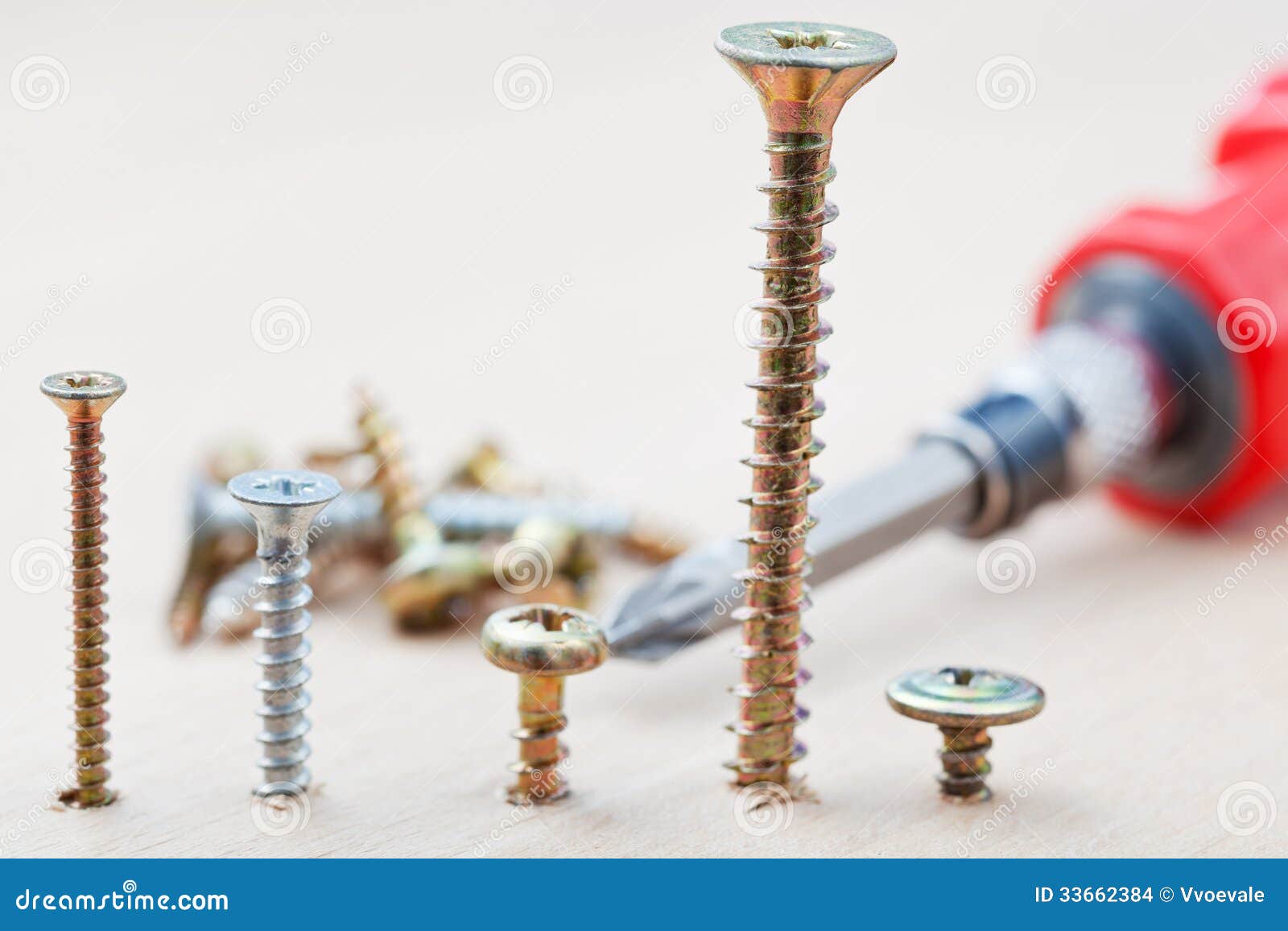 Screwdriver and Different Screws Wrapped in Board Stock Photo - Image ...