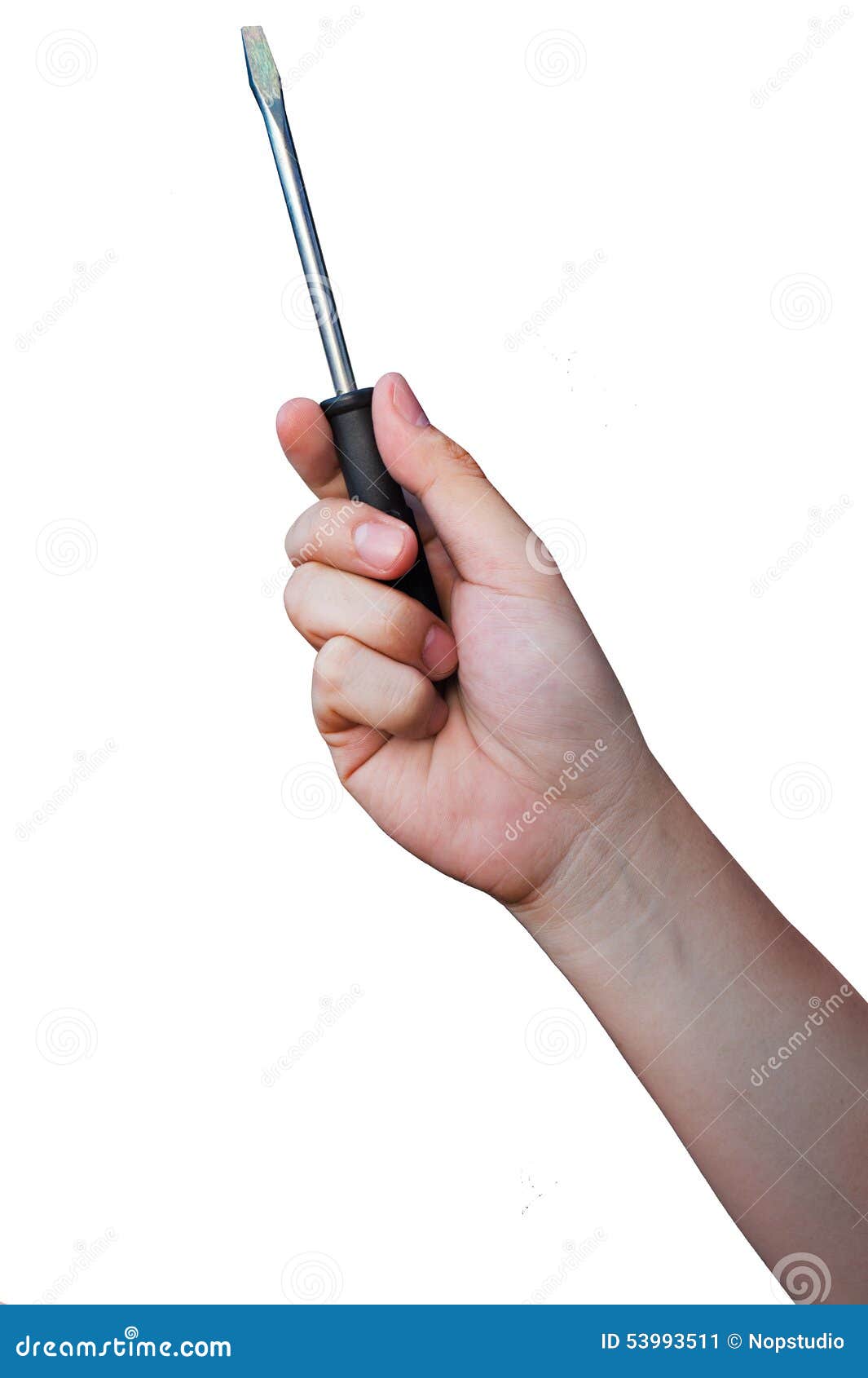 Screwdriver in hand stock image. Image of human, screwdriver - 53993511