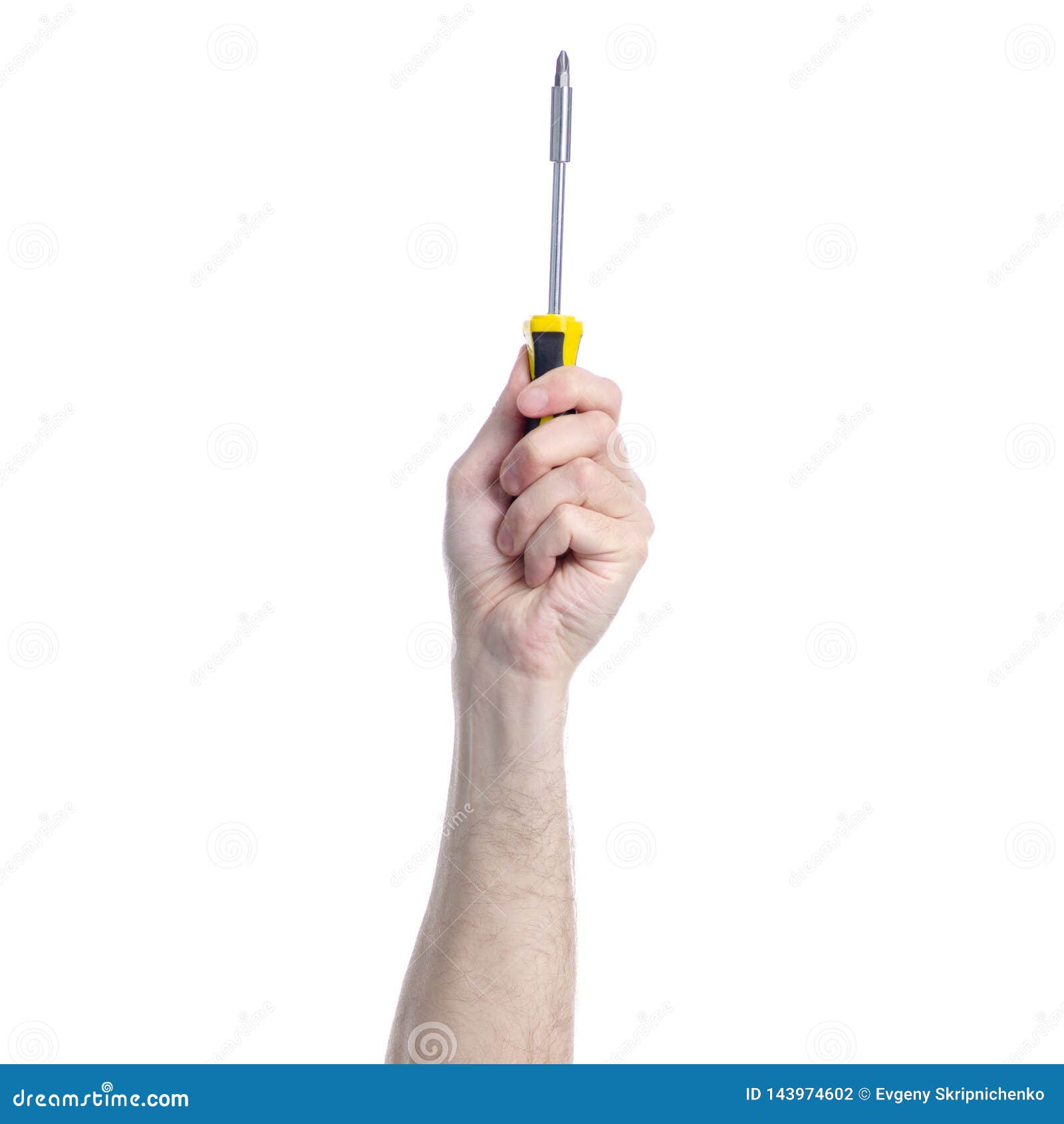 Screwdriver in hand stock photo. Image of orange, palm - 143974602