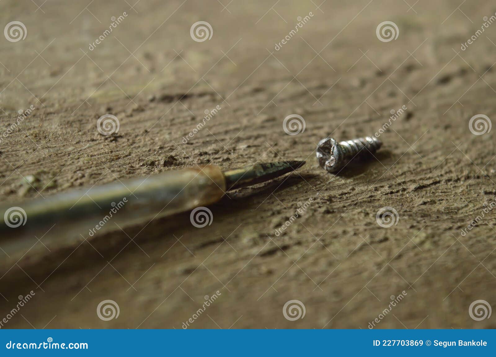 The Screwdriver and the Knot Stock Image - Image of knot, nature: 227703869