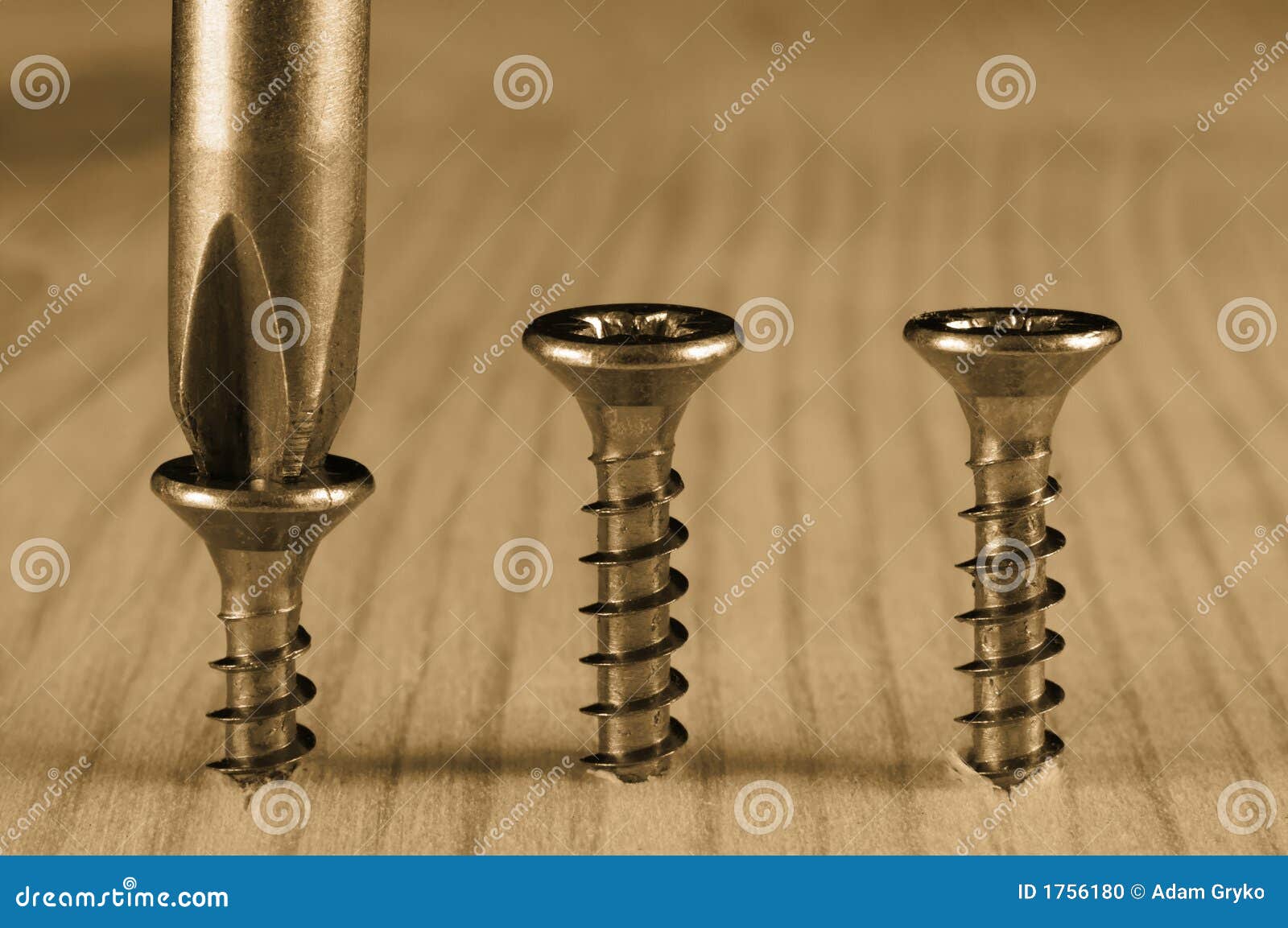 Screwdriver and screws stock photo. Image of wood, heads - 1756180