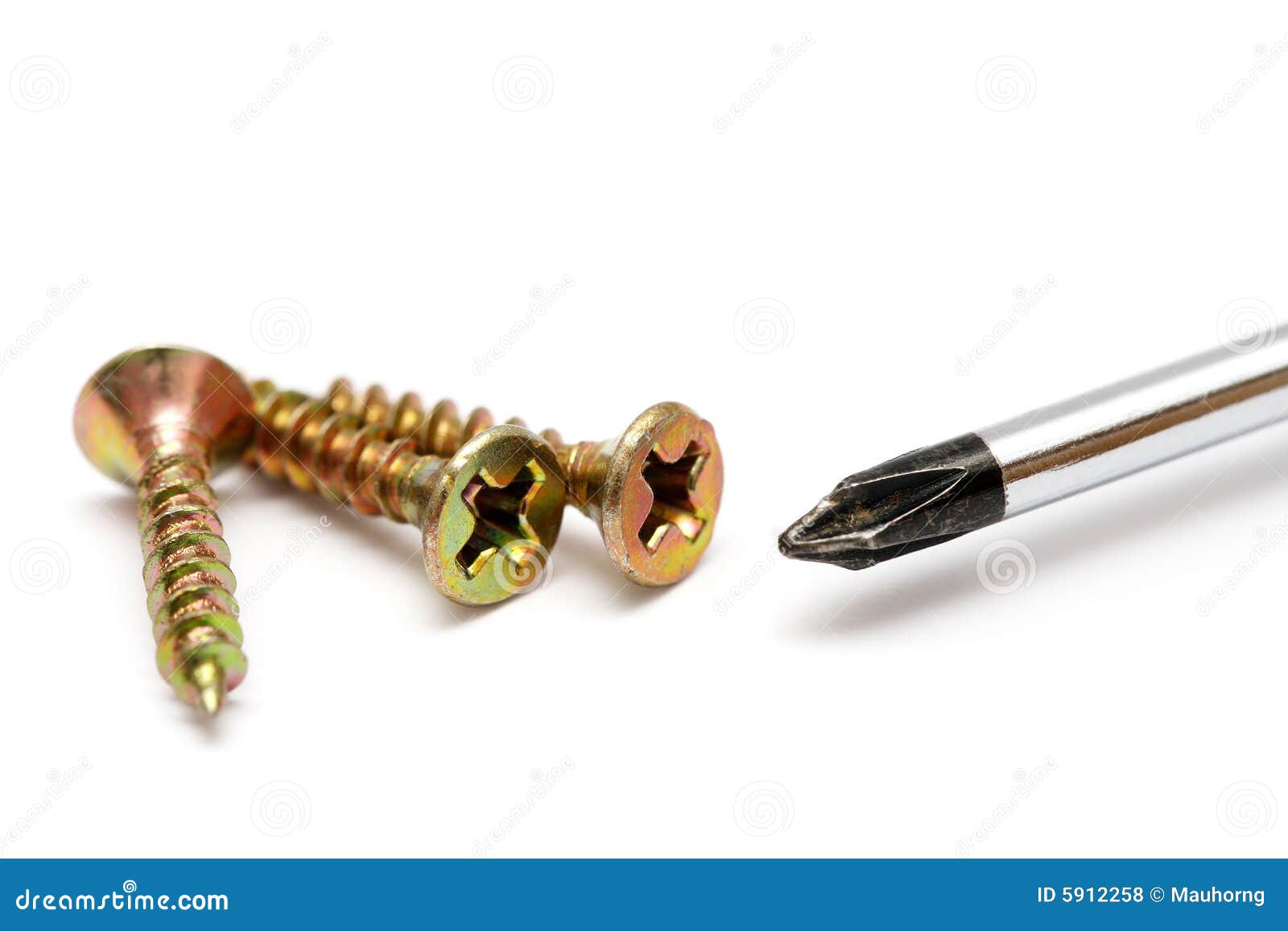Screwdriver And Screws stock photo. Image of isolated - 5912258