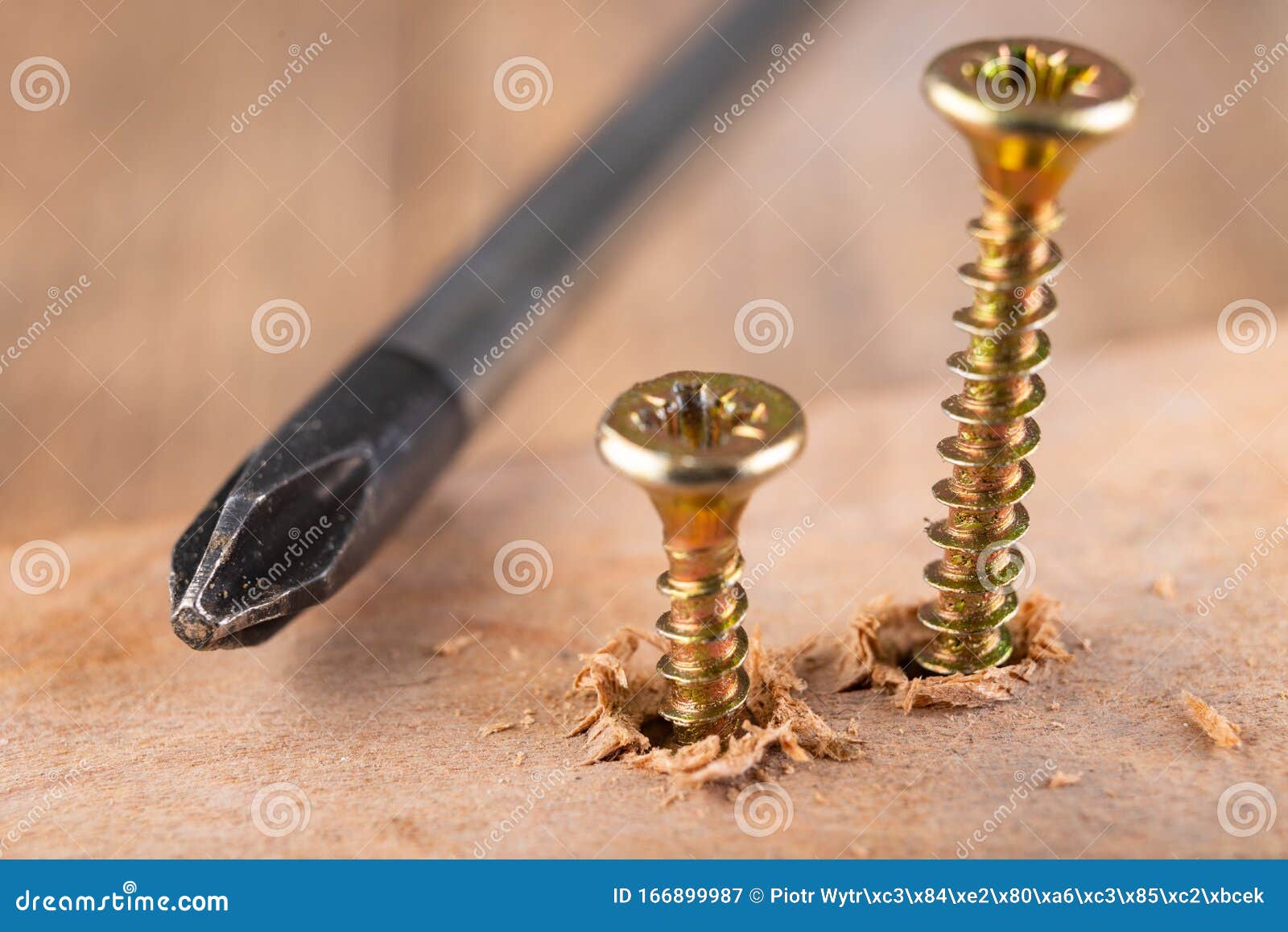 Screwdriver and Screws for Connecting Wooden Elements. Carpentry Tools ...