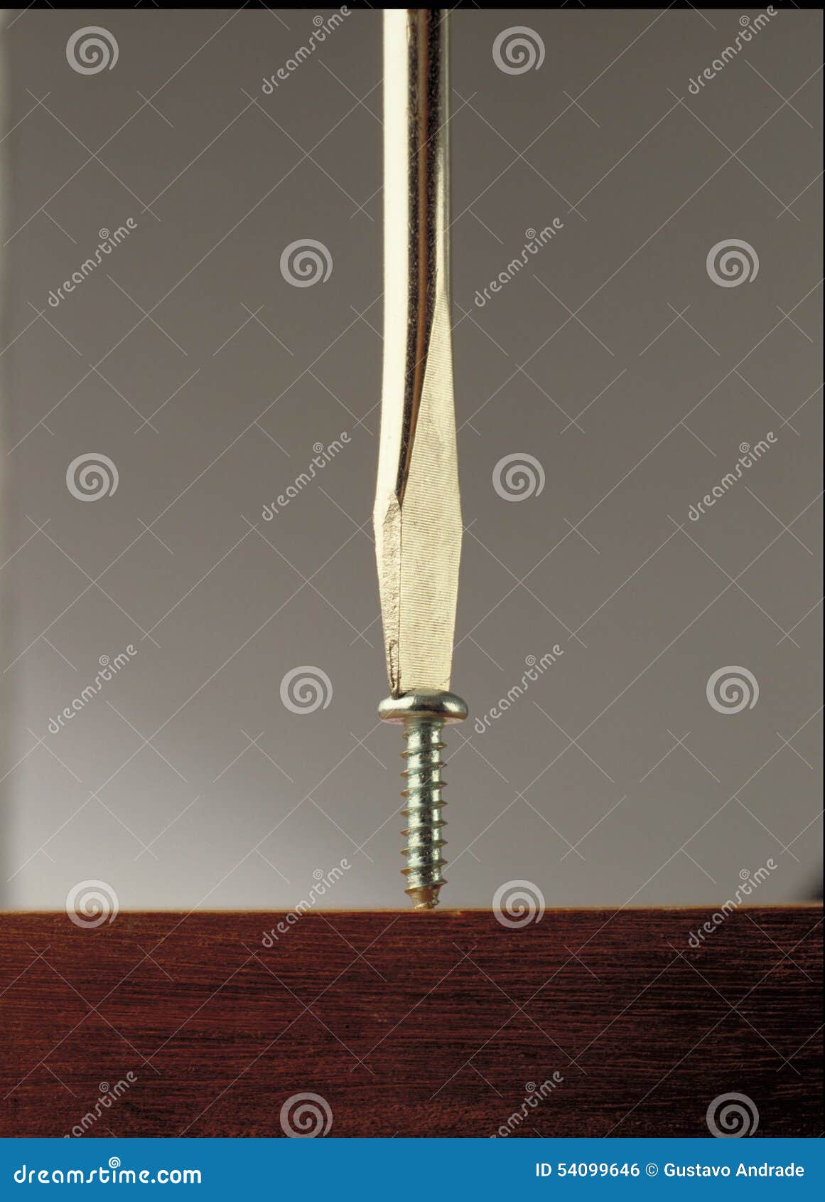 Screwing screws stock photo. Image of thread, object - 54099646