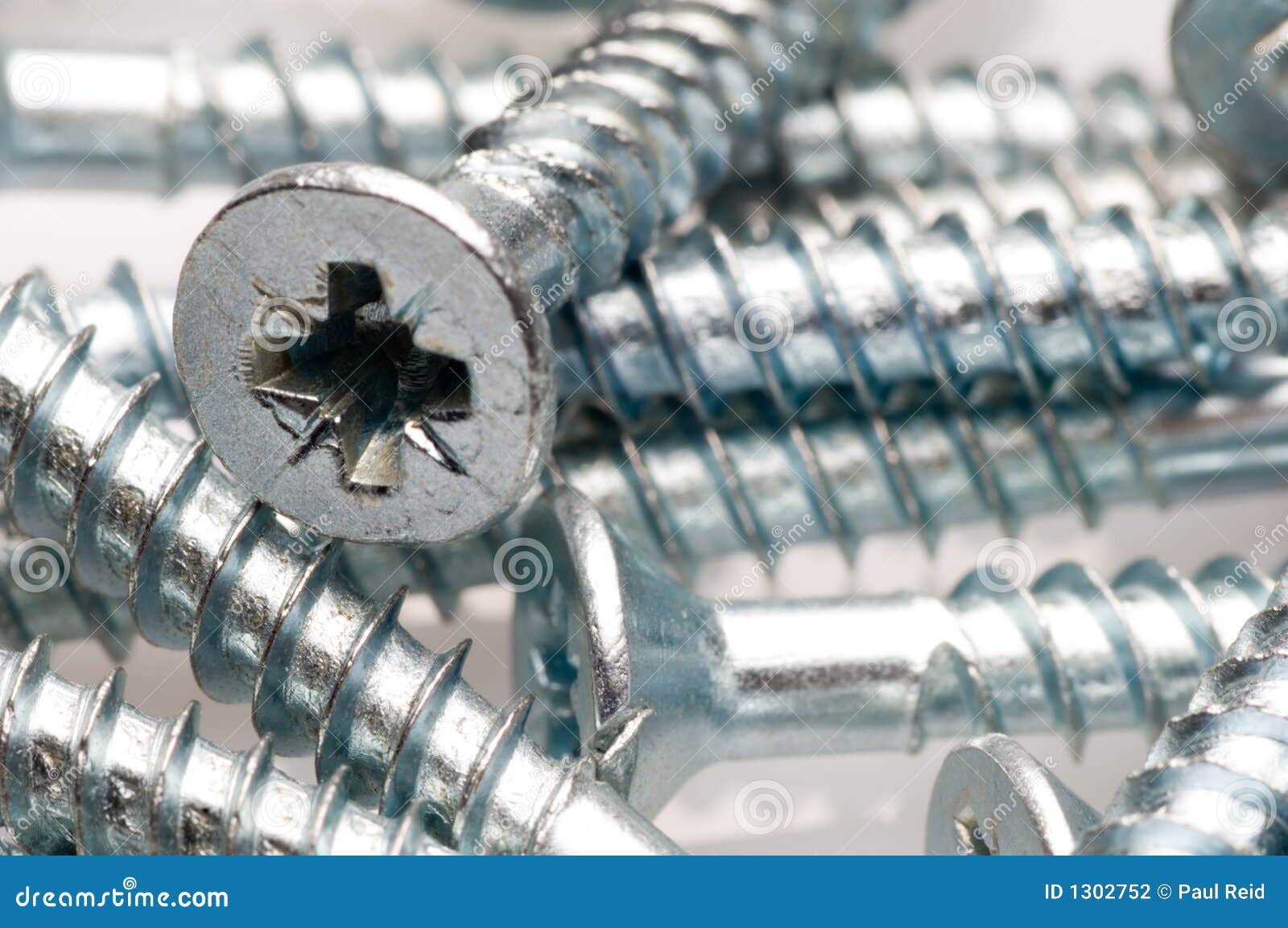 Screws stock photo. Image of build, closeup, hardware - 1302752