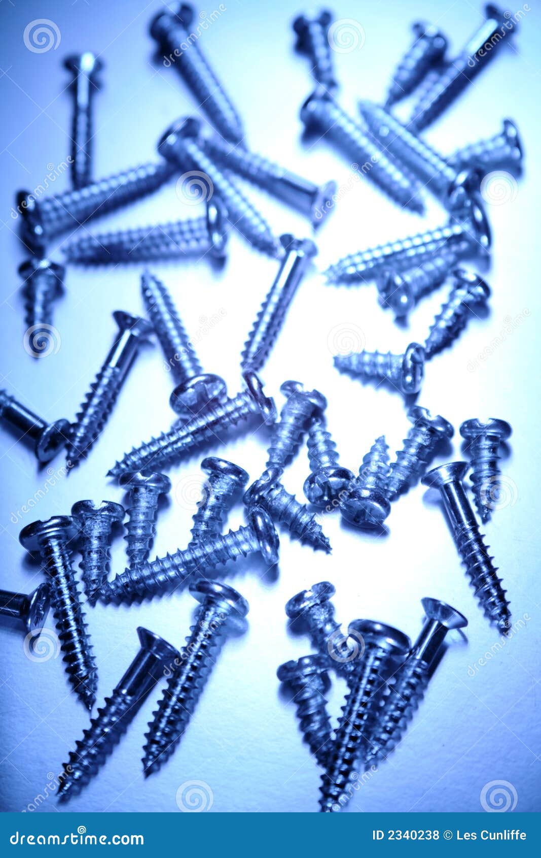 Screws stock photo. Image of head, thread, hardware, screws - 2340238