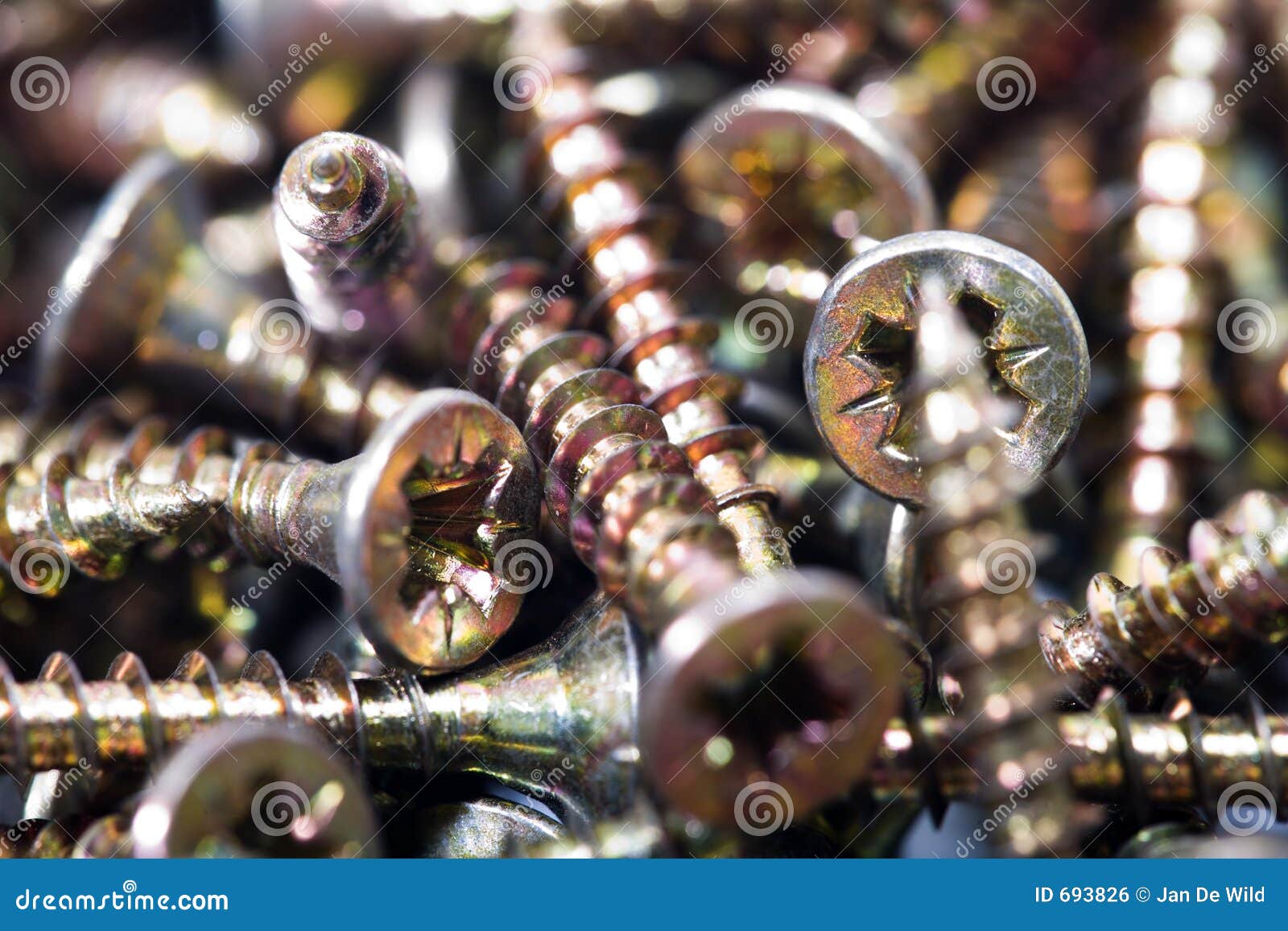 Screws stock photo. Image of handyman, construction, phillips - 693826