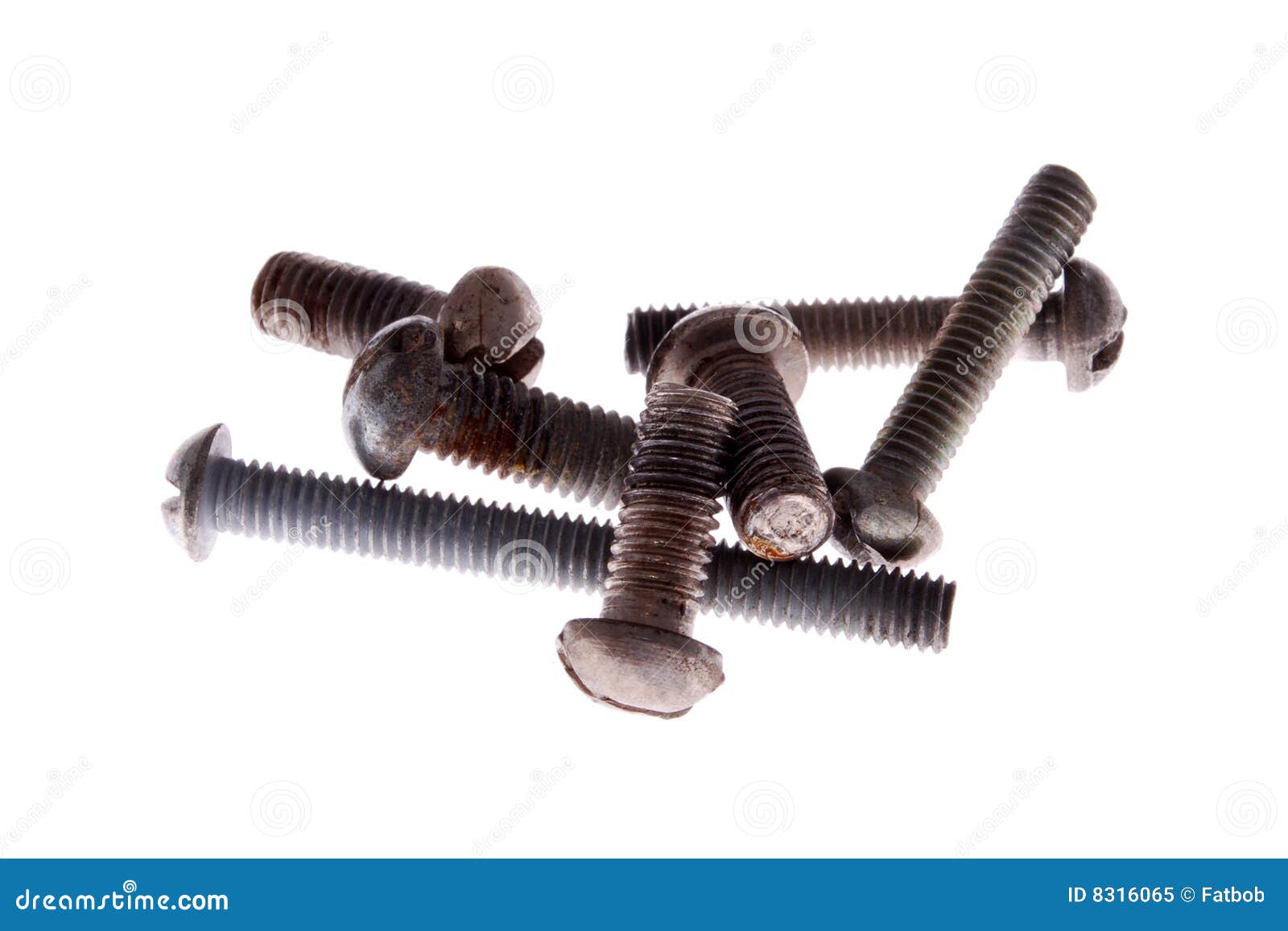 Screws stock image. Image of threaded, variety, white - 8316065