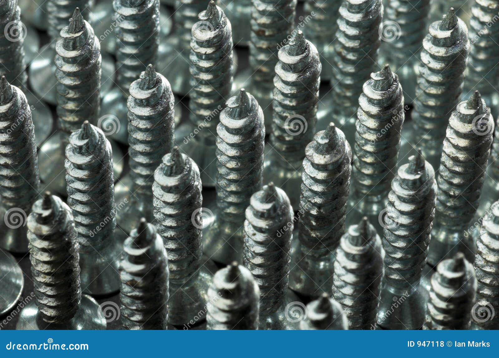 Screws stock photo. Image of abstract, hardware, commercial - 947118