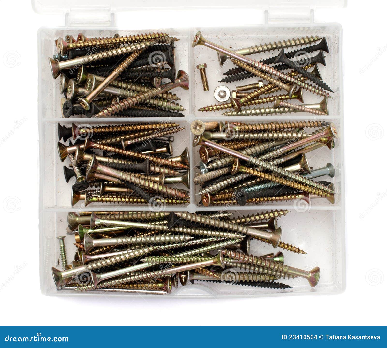 Screws box stock photo. Image of group, cells, stuff - 23410504