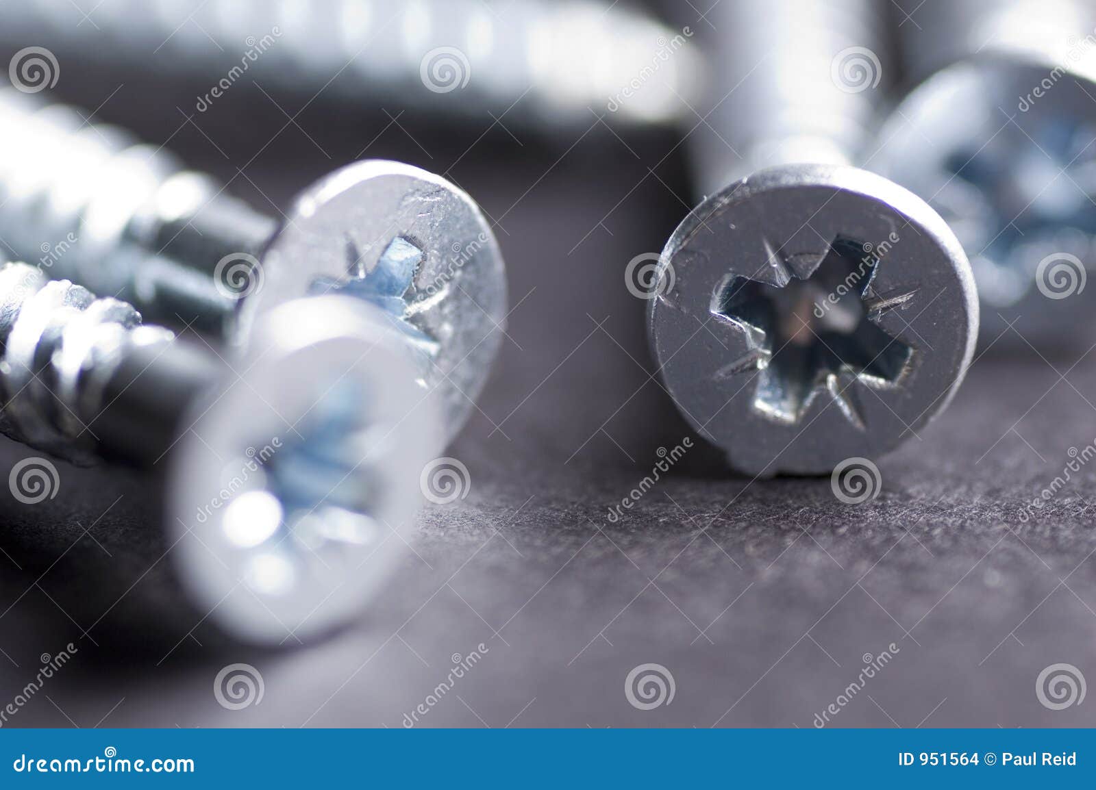 Screws close up stock photo. Image of carpenter, industrial - 951564