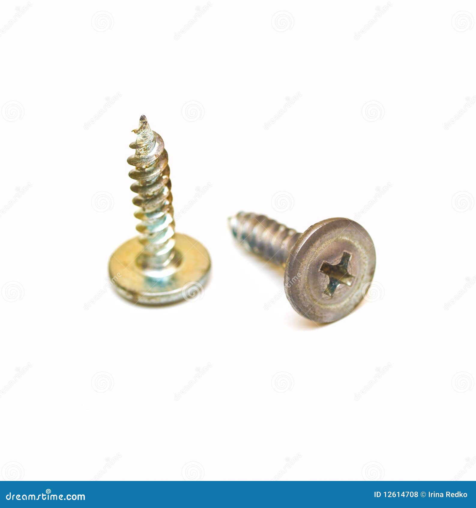 Screws closeup view stock photo. Image of bolt, build - 12614708